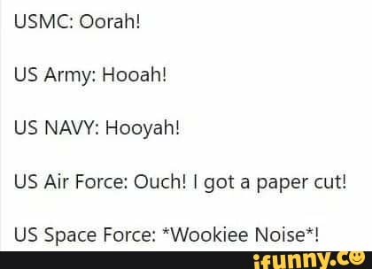 USMC: Oorah! US Army: Hooah! US NAVY: Hooyah! US Air Force: Ouch! I got ...
