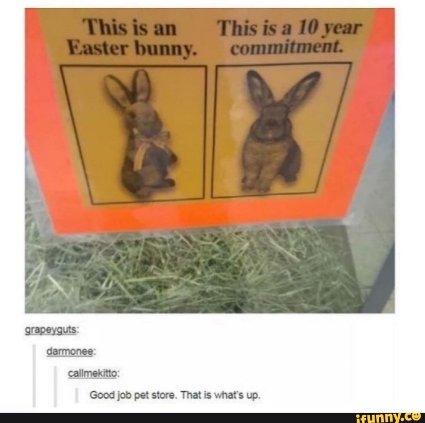 Calimekitto: Good job pet store. That is what's up. - iFunny