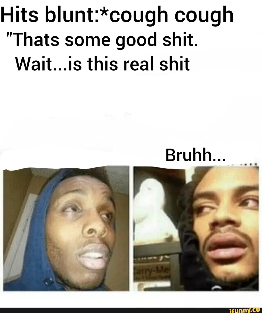 Hits blunt:*cough cough "Thats some good shit. Wait...is this real shit ...