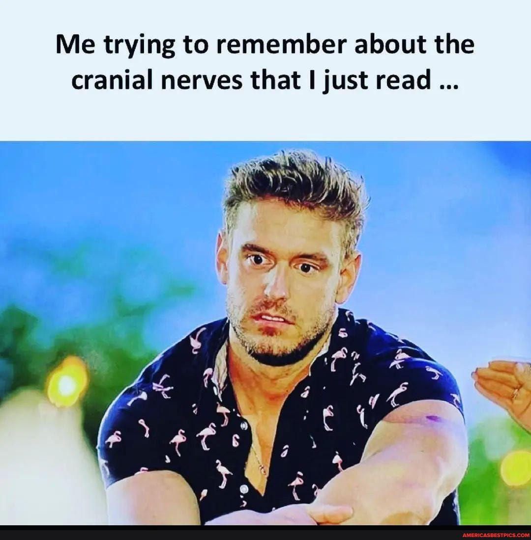 Me trying to remember about the cranial nerves that just read - America ...