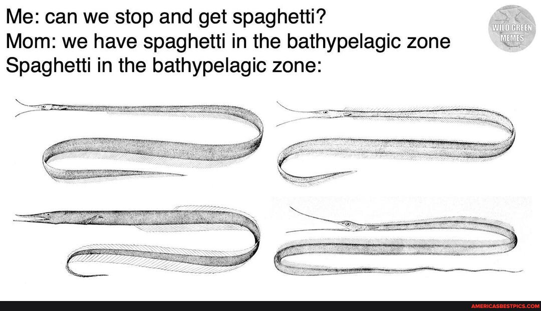 🍝 What is your spaghetti policy here? Meme by @beingevolved - Me: can ...