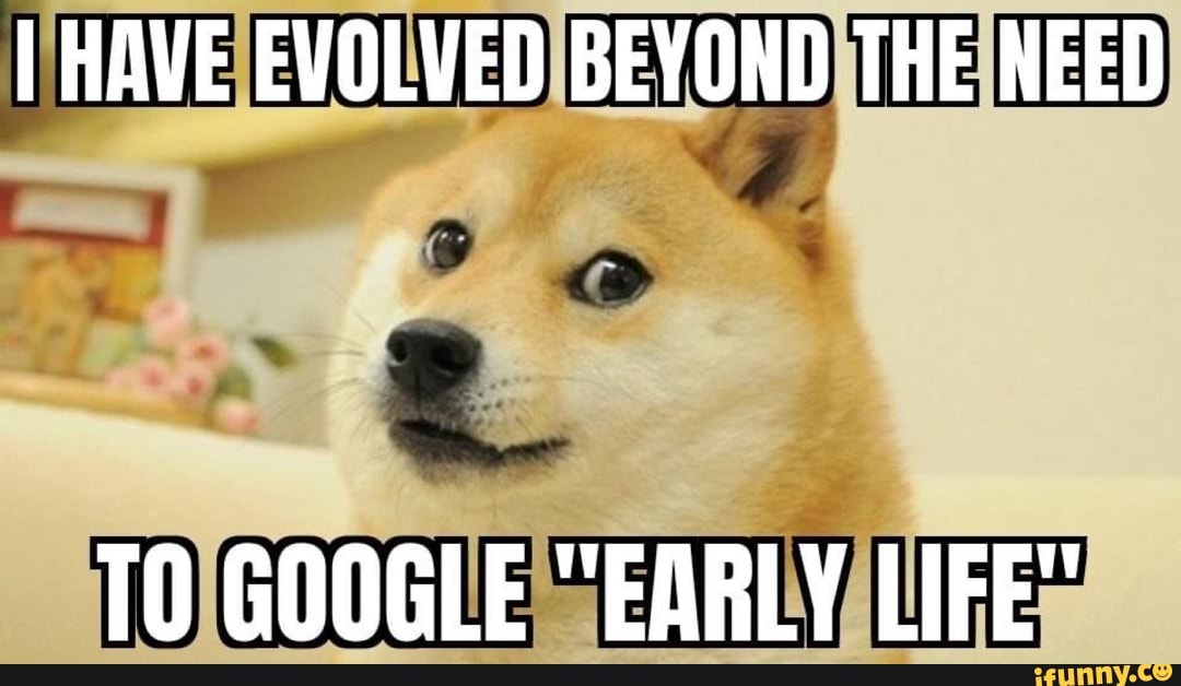 I HAVE EVOLVED BEYOND THE NEED TO GOOGLE "EARLY LIFE" - iFunny