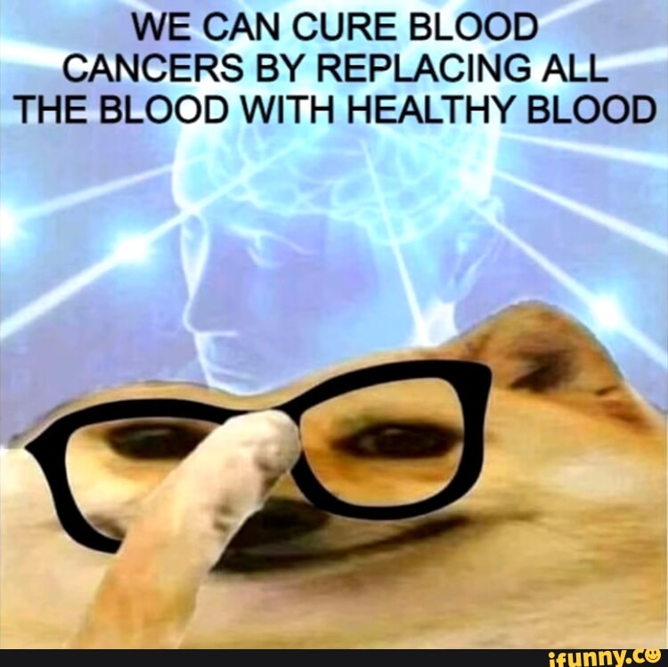 WE CAN CURE BLOOD CANCERS BY REPLACING ALL THE BLOOD WITH HEALTHY BLOOD ...