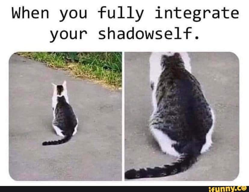 😹😹😹😹😹😹😹😹😹😹 Catception! - When you fully integrate your shadowself. - iFunny Brazil