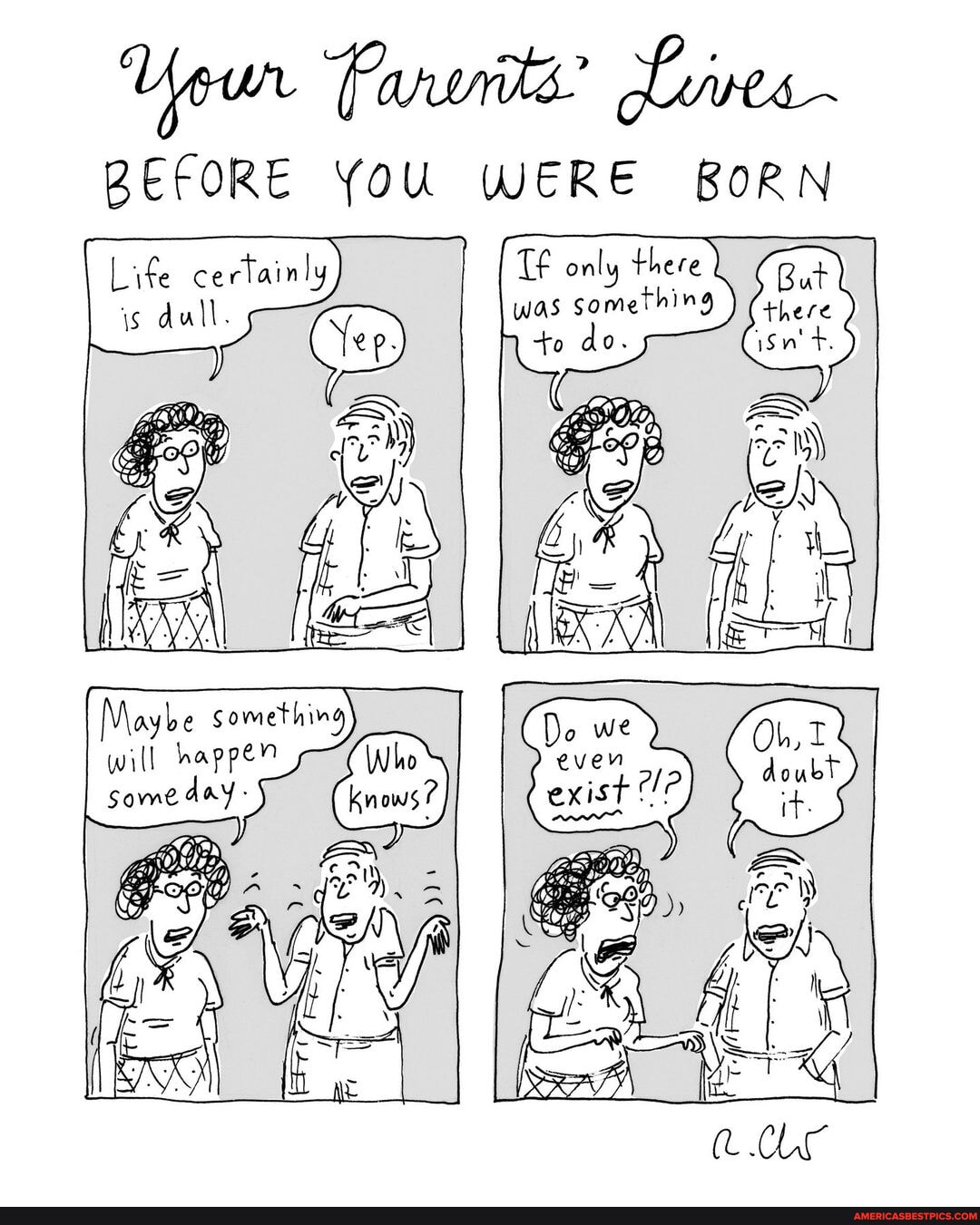 A cartoon by @rozchast. #NewYorkerCartoons - BEFORE YOU WERE BORN cert ...