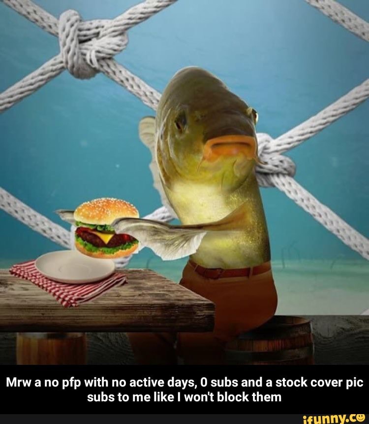 Mrw a no pfp with no active days, 0 subs and a stock cover pic subs to ...