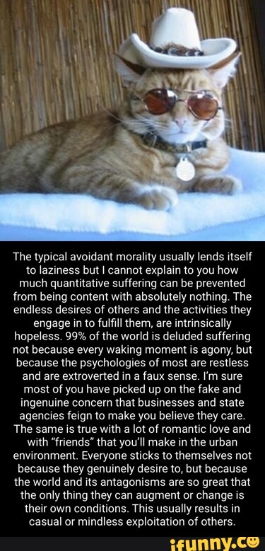 Avoidant memes. Best Collection of funny Avoidant pictures on iFunny