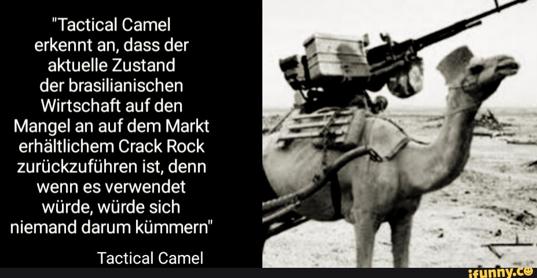"Tactical Camel erkennt an, dass der aktuelle Zustand der brasilianischen Wirtschaft auf den ...