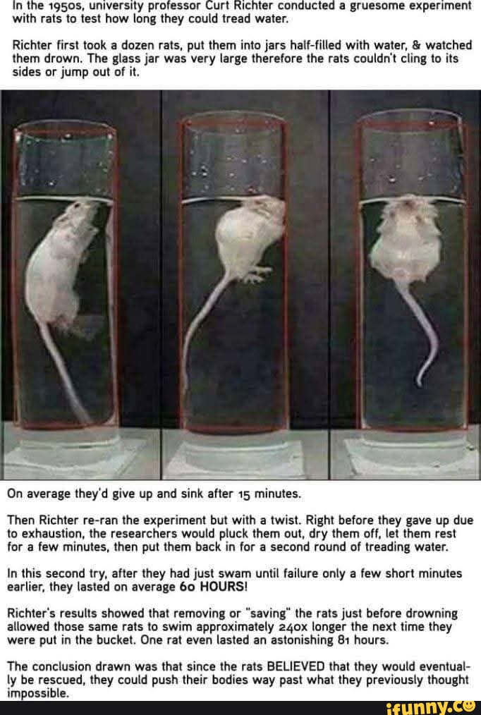 The 19505, university professor Curt led gruesome experiment with rats ...