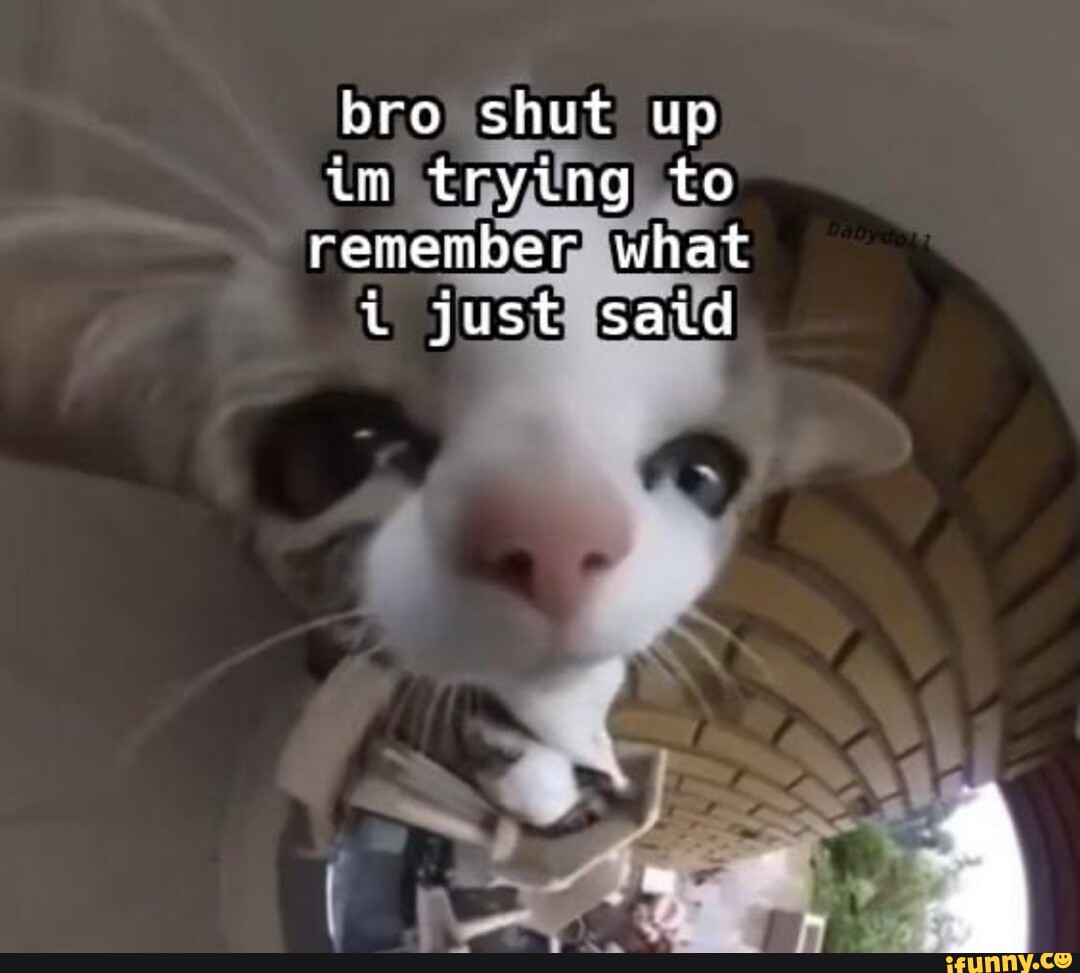 Bro shut up im trytng to remember what just said - iFunny