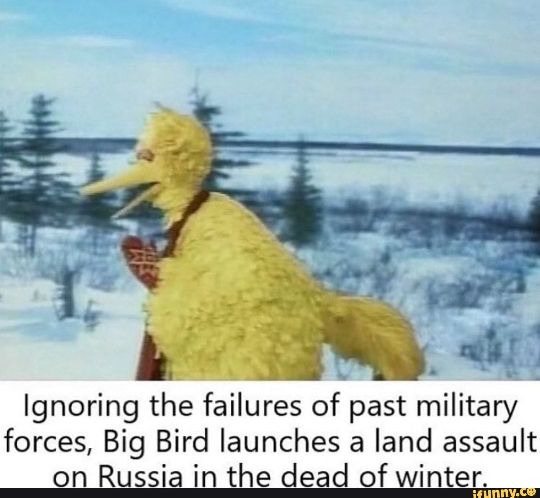 Ignoring the failures of past military forces, Big Bird launches a land ...