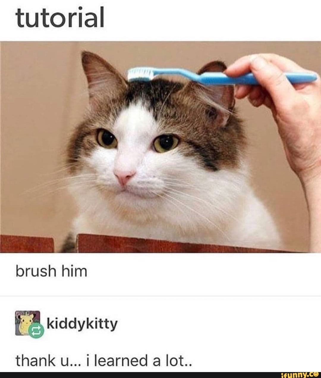 Tutorial brush him thank u... i learned a lot.. - iFunny