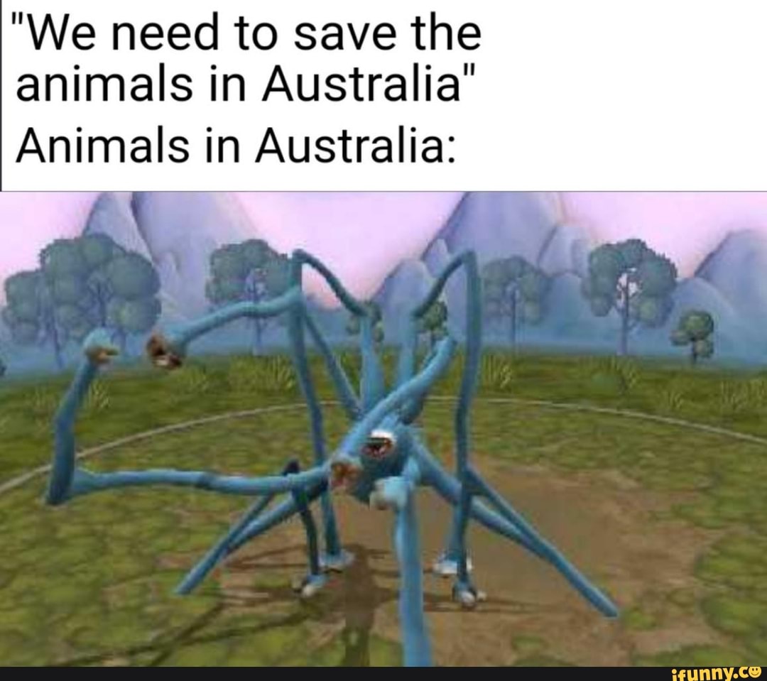 "We need to save the animals in Australia' Animals in Australia: - iFunny