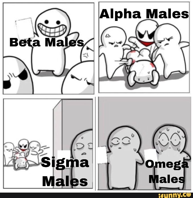 Betamale memes. Best Collection of funny Betamale pictures on iFunny