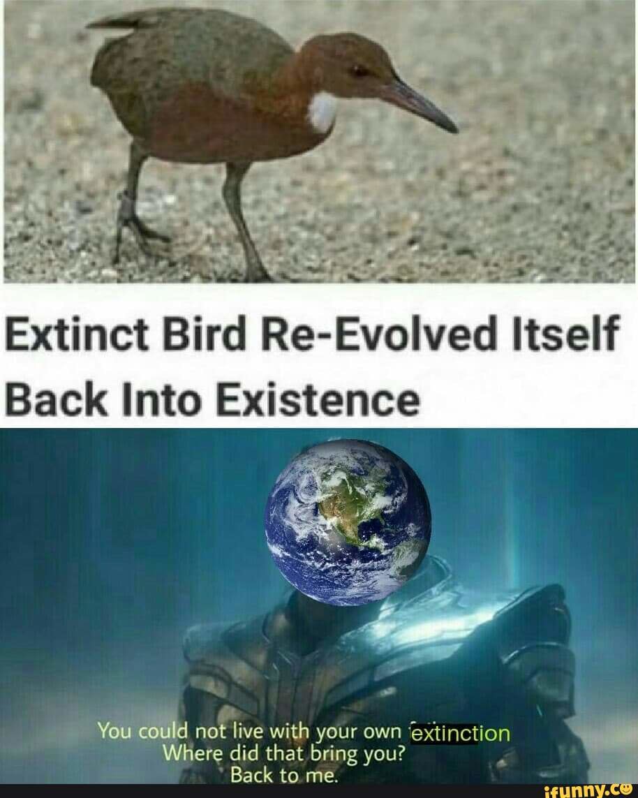 Extinct Bird Re-Evolved Itself Back Into Existence .. VWMÚ not live ...