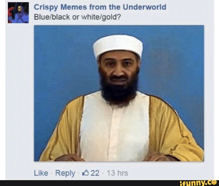 Crispy Memes from the Underworld Blue/black or white/gold? - iFunny