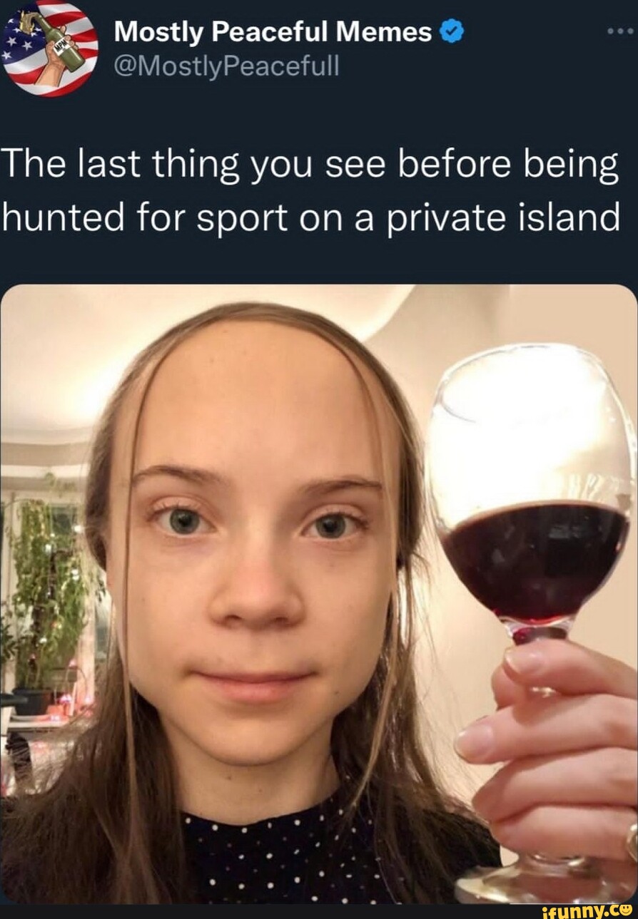 Mostly Peaceful Memes The last thing you see before being hunted for ...