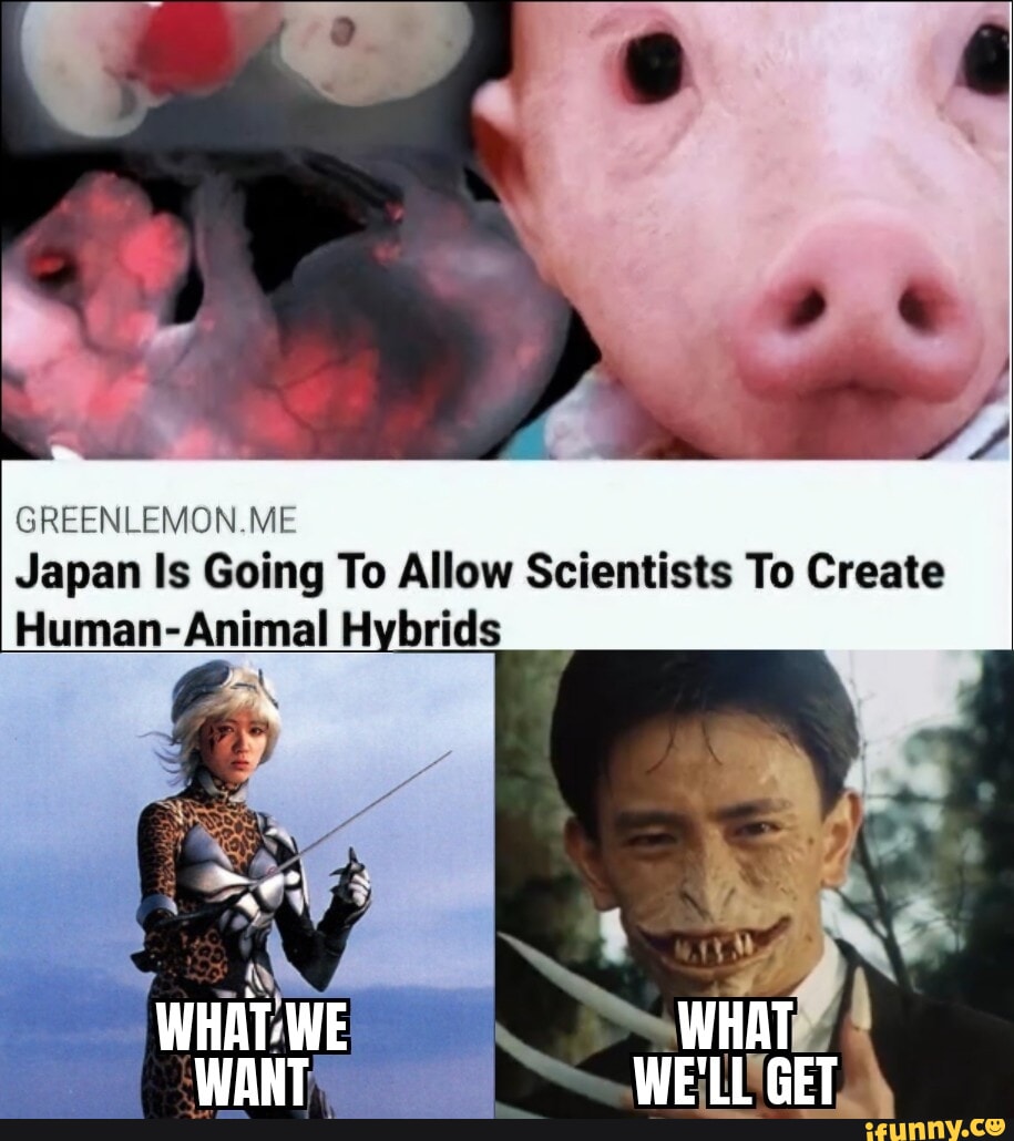 Flashman memes. Best Collection of funny Flashman pictures on iFunny