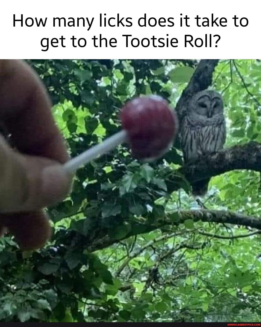 How many licks does it take to get to the Tootsie Roll? - America’s ...