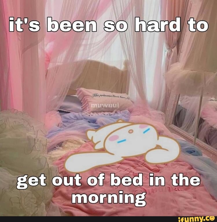 Cinnamoroll memes. Best Collection of funny Cinnamoroll pictures on iFunny