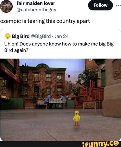 Ozempic is tearing this country apart Follow Big Bird @BigBird Jan 24 ...