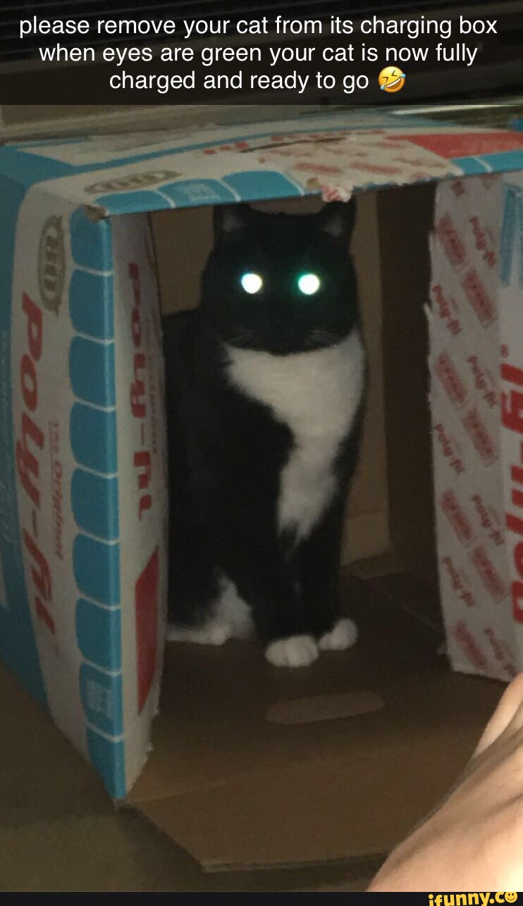 Please remove your cat from its charging box when eyes are green your ...