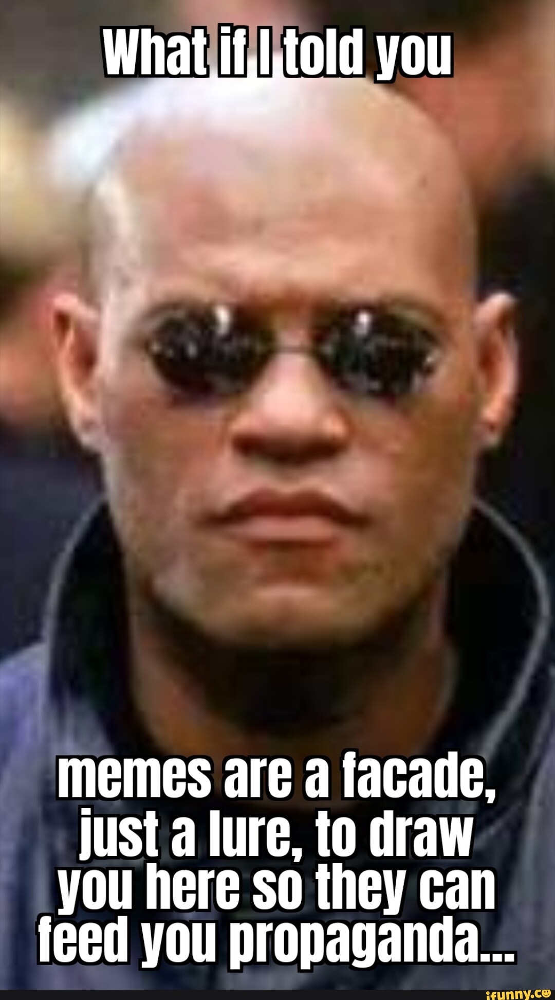 You memes are a facade, just a lure, to draw you here so they can feed ...