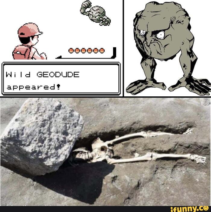 Wild appeared? - iFunny
