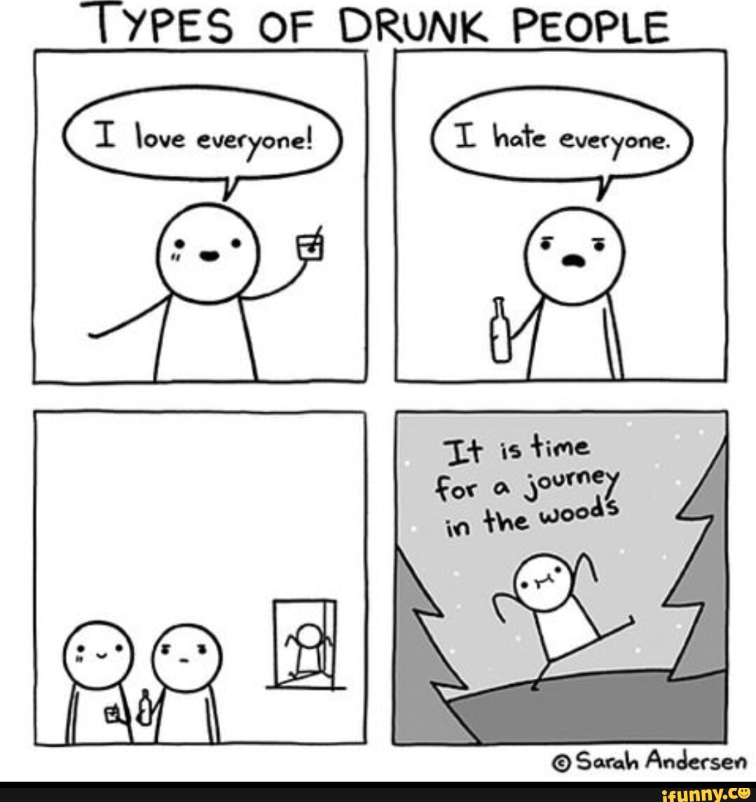 'TYPES OF DRUNK PEOPLE Sarah Andersen - iFunny