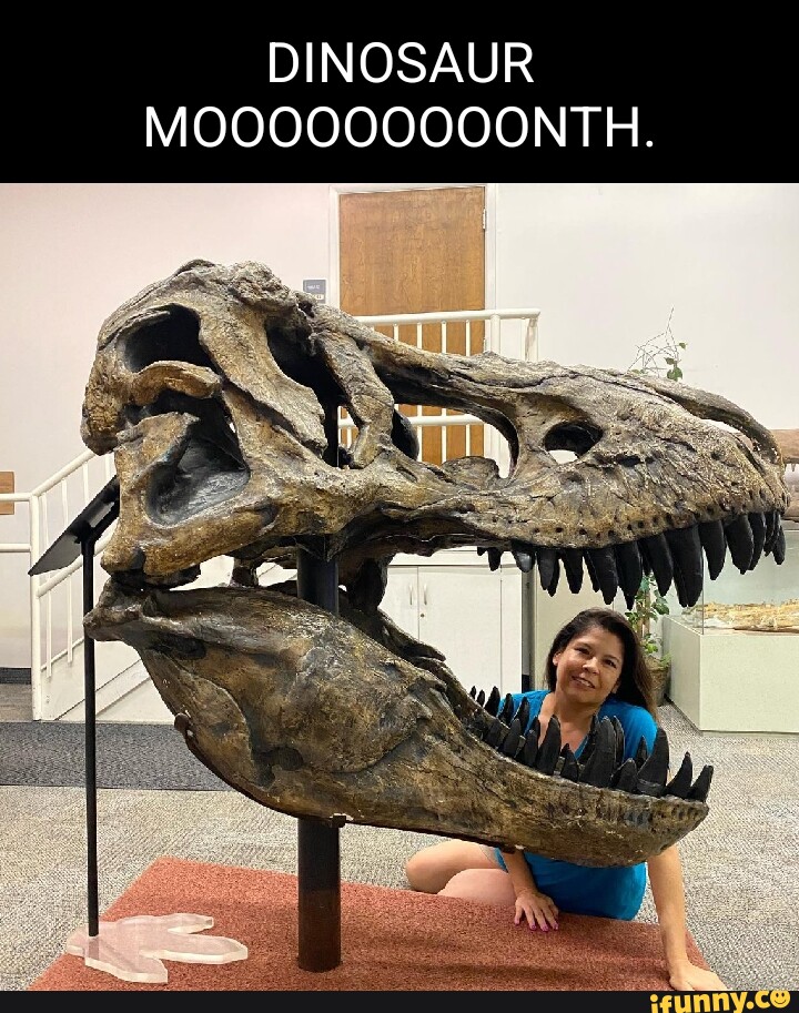 Dinosaurus memes. Best Collection of funny Dinosaurus pictures on iFunny