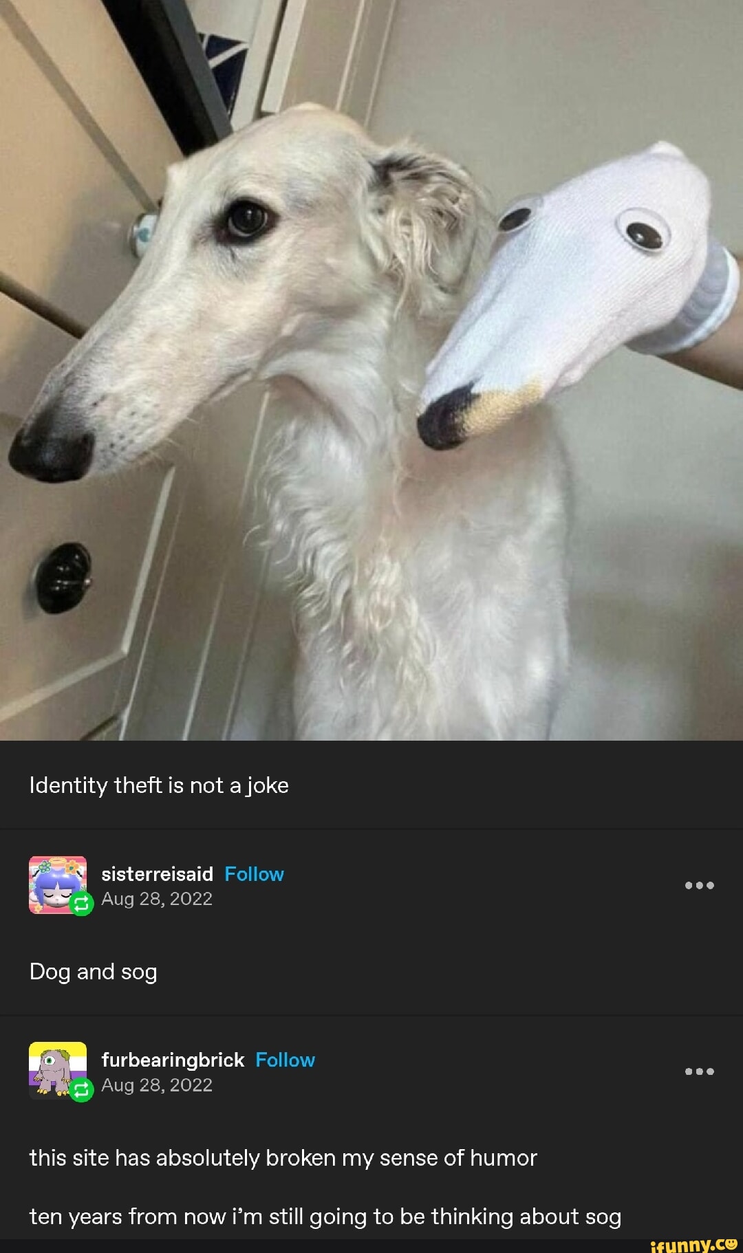 Sog memes. Best Collection of funny Sog pictures on iFunny