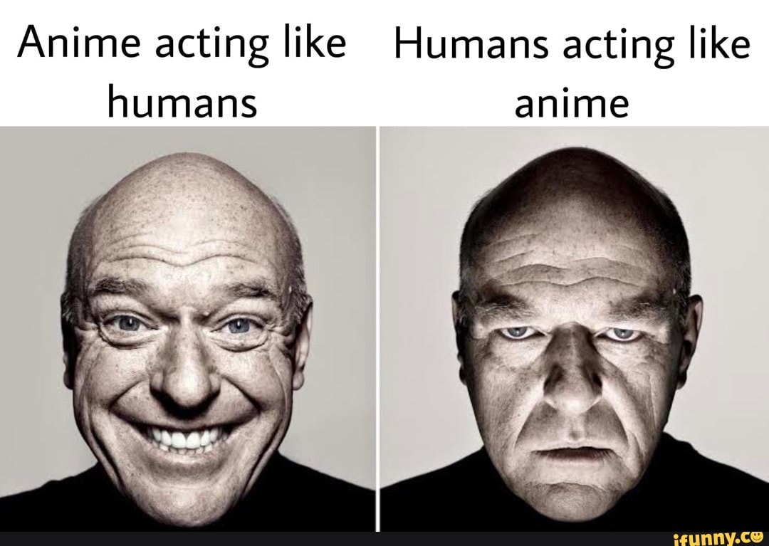 Anime acting like Humans acting like humans anime - iFunny