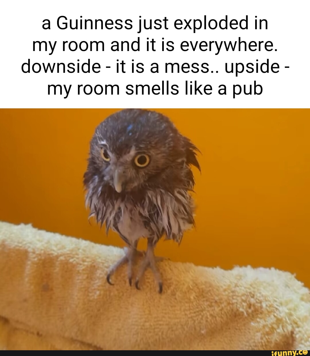 Guinness memes. Best Collection of funny Guinness pictures on iFunny