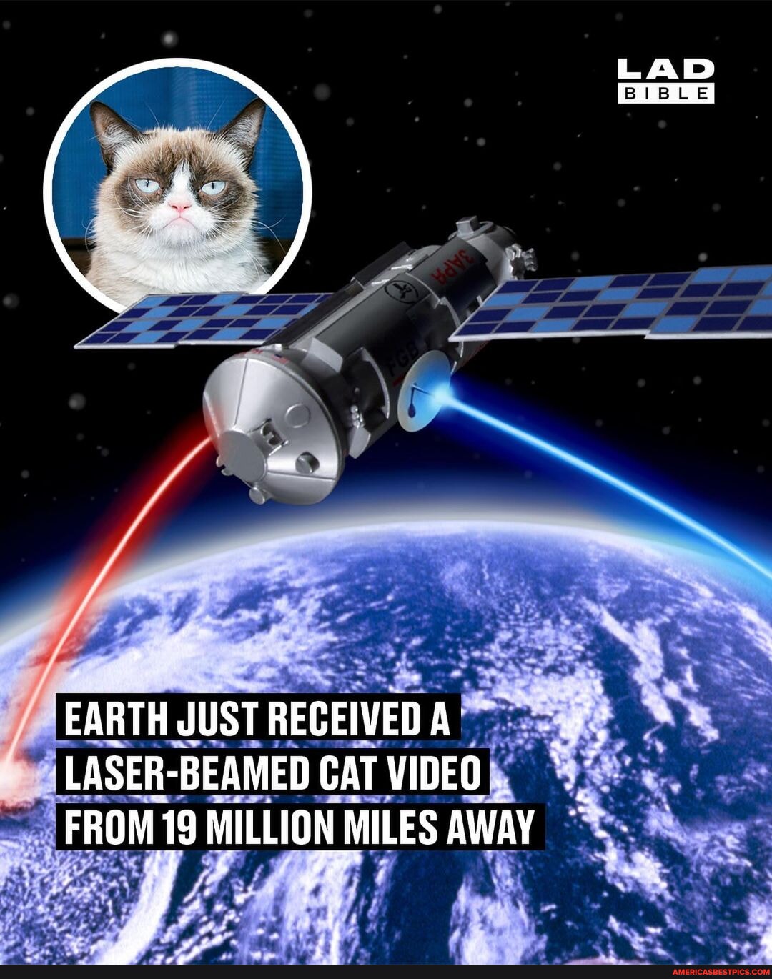 NASA has just made history... with a cat video 😲 This short clip was ...