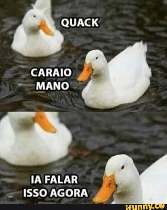 QUACK CARAIO MANO IA FALAR ISSO AGORA - iFunny