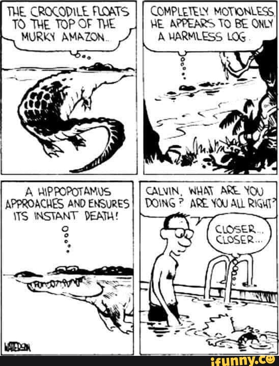 Crocodile memes. Best Collection of funny Crocodile pictures on iFunny