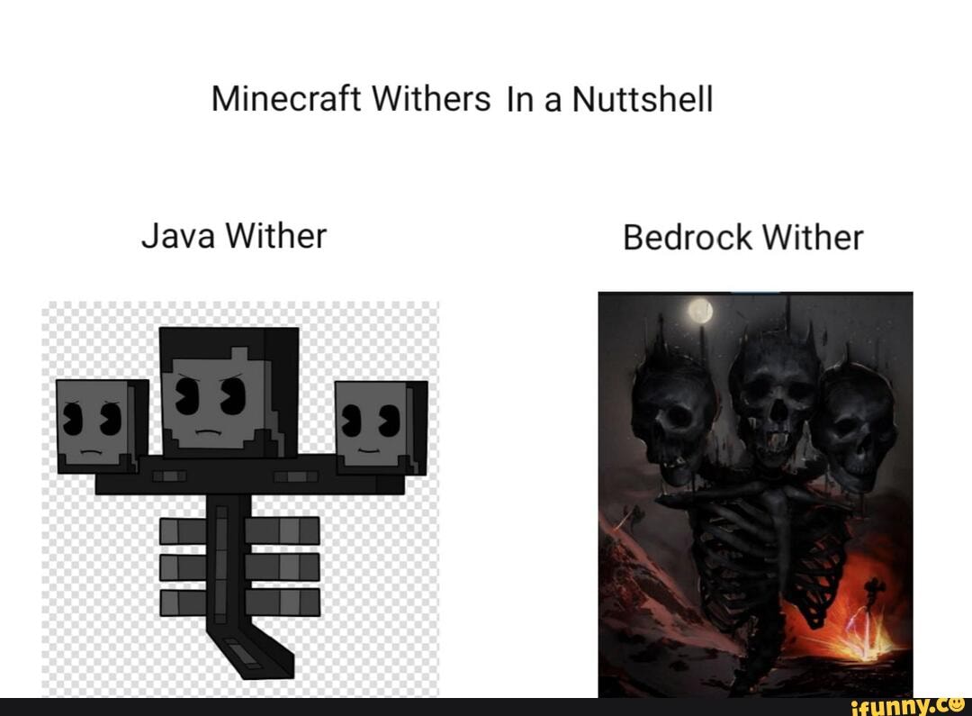 Minecraft Withers In a Nuttshell Java Wither Bedrock Wither - iFunny