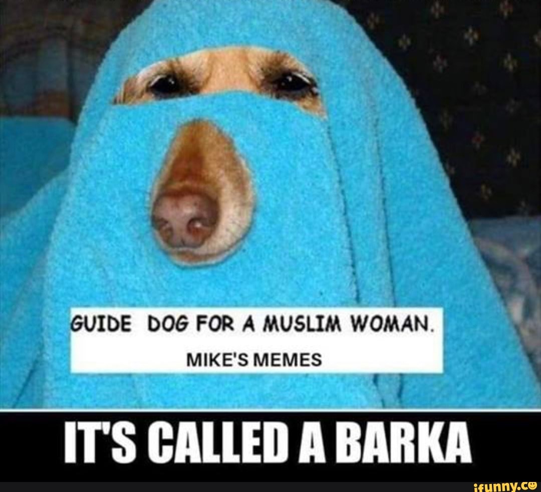Barka memes. Best Collection of funny Barka pictures on iFunny