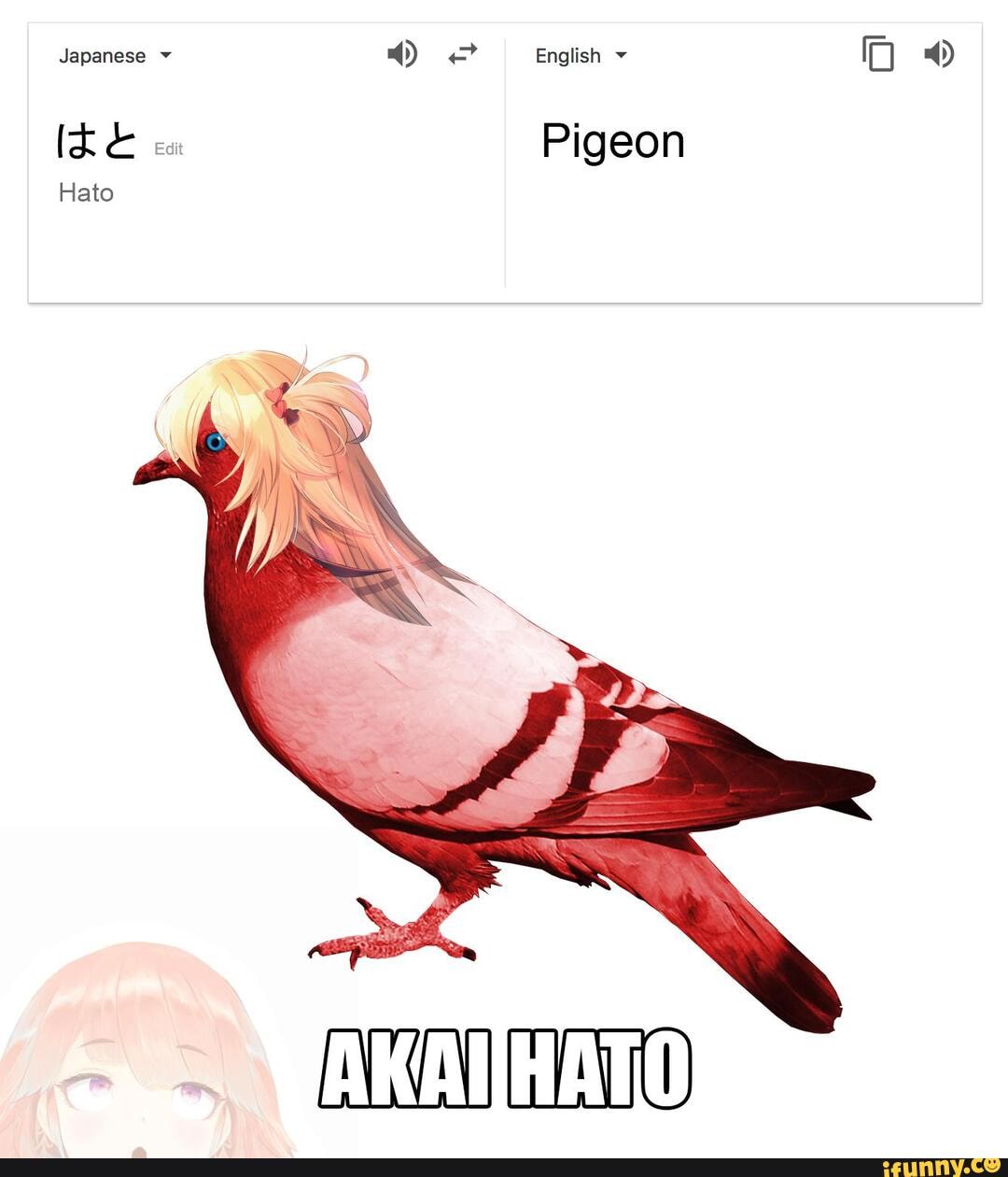 Japanese English Hato Pigeon - iFunny