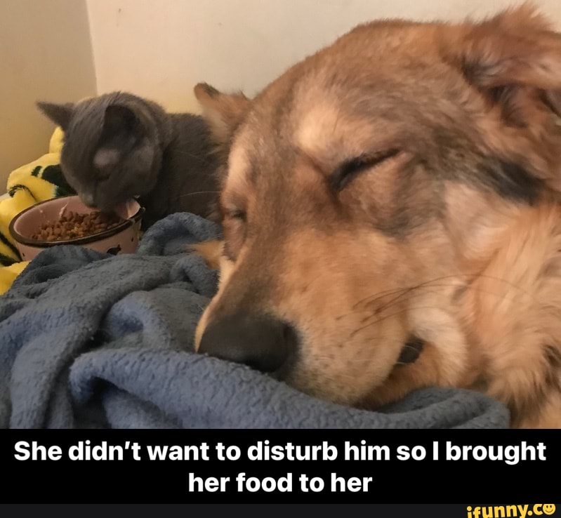 She didn't want to disturb him so brought her food to her - She didn’t ...