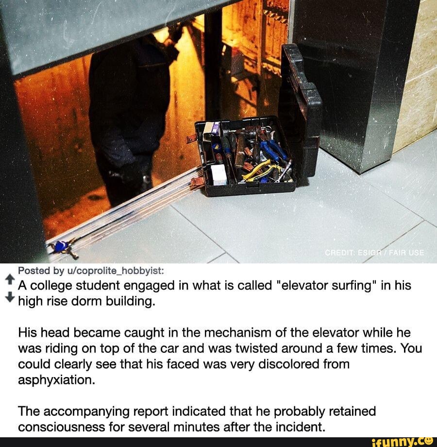 A o RARA FLAMETHROWER SQUIRRELS HAVE REACHED THE U.S. This is nuts ...