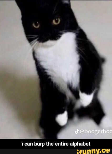 @boogerboc ican burp the entire alphabet - i can burp the entire ...