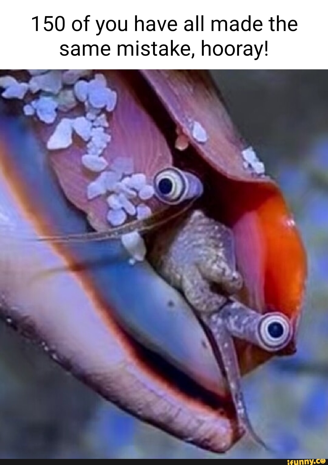 Hooray memes. Best Collection of funny Hooray pictures on iFunny