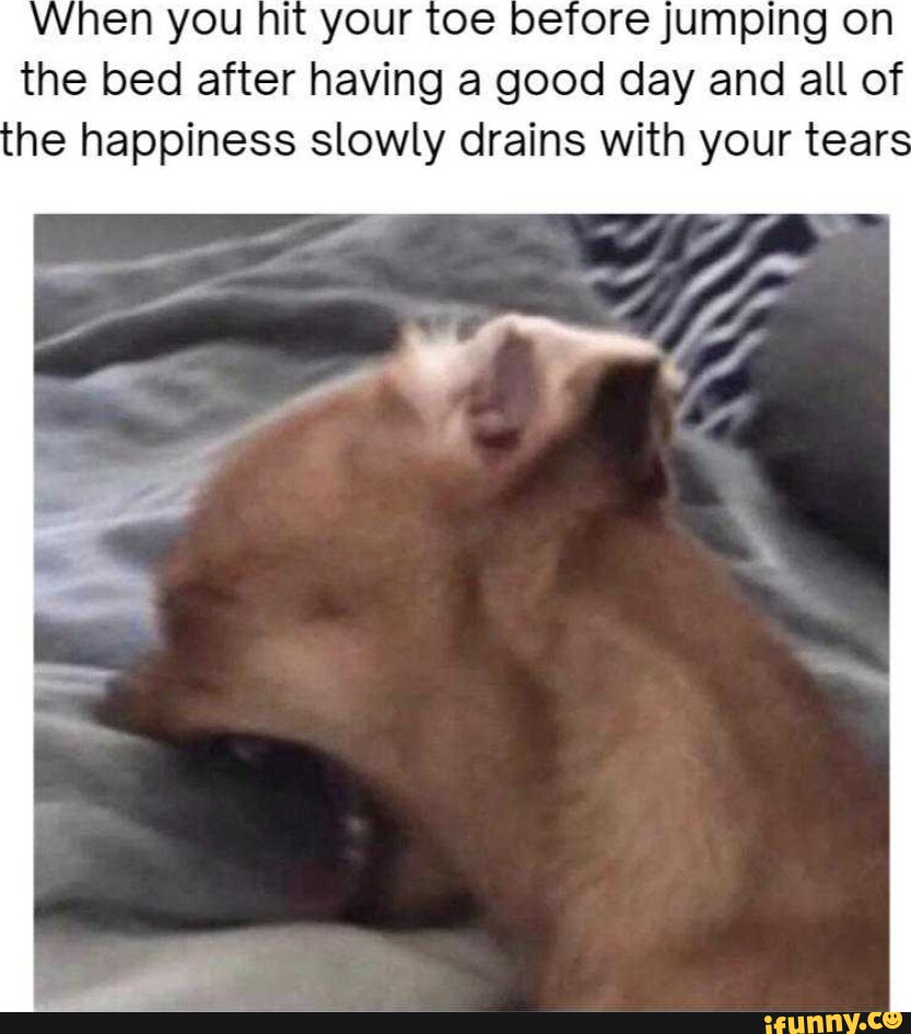 When you hit nit your toe before Jumping on the bed after having a ...