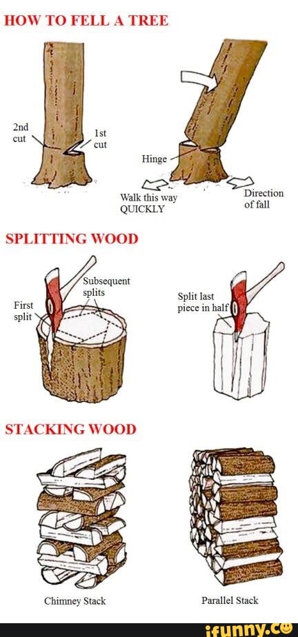 HOW TO FELL A TREE cut cut Hinge of all Walk thes way QUIERLY SPLITTING ...