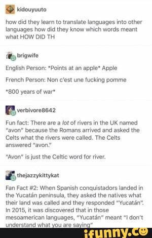 How did they learn to translate languages into other languages how did ...