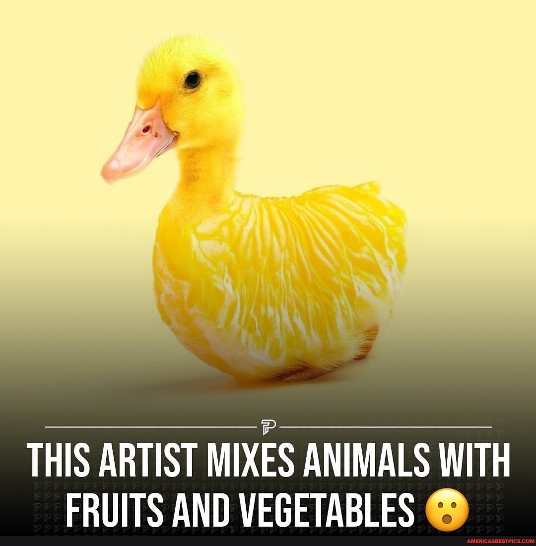 These are amazing 😮 (Via @les.creatonautes) - #fruit #vegetable # ...