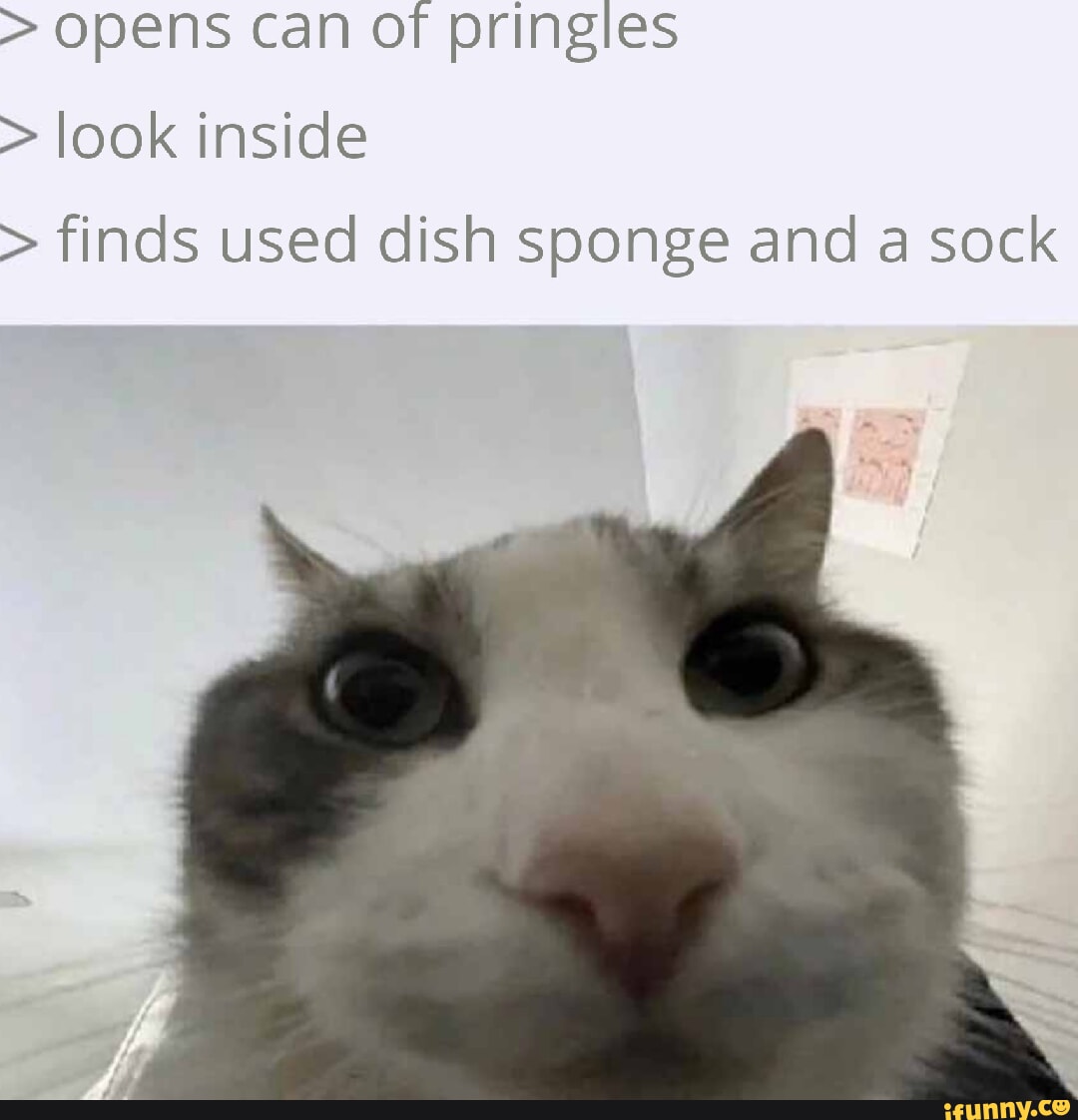 > opens can of pringles > look inside > finds used dish sponge and a ...