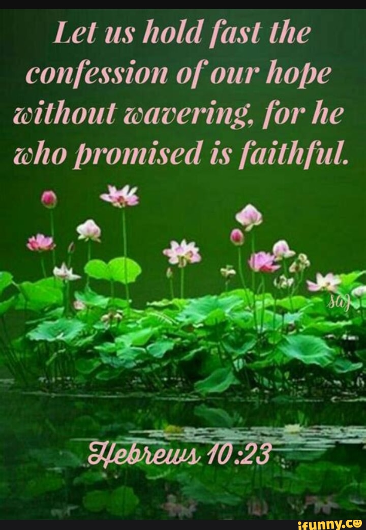 Confessions memes memes. The best memes on iFunny