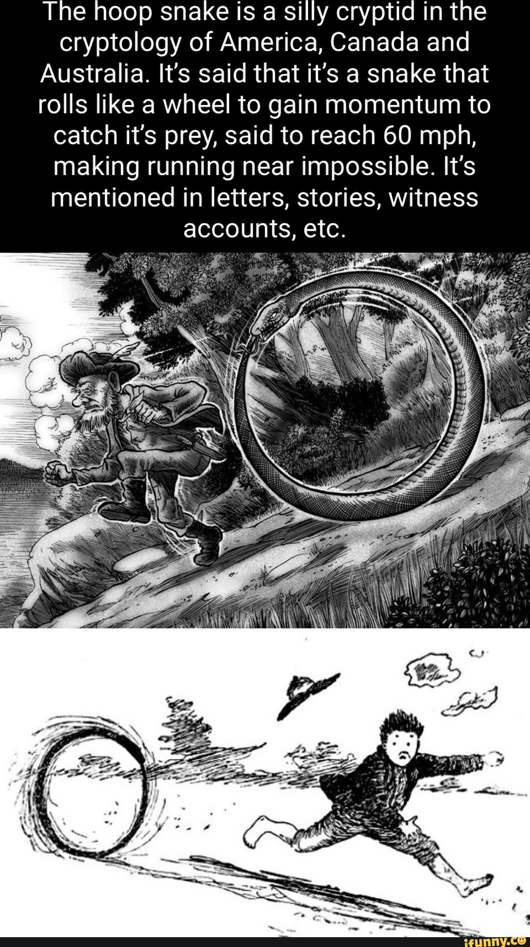 The hoop snake is a silly cryptid in the cryptology of America, Canada ...